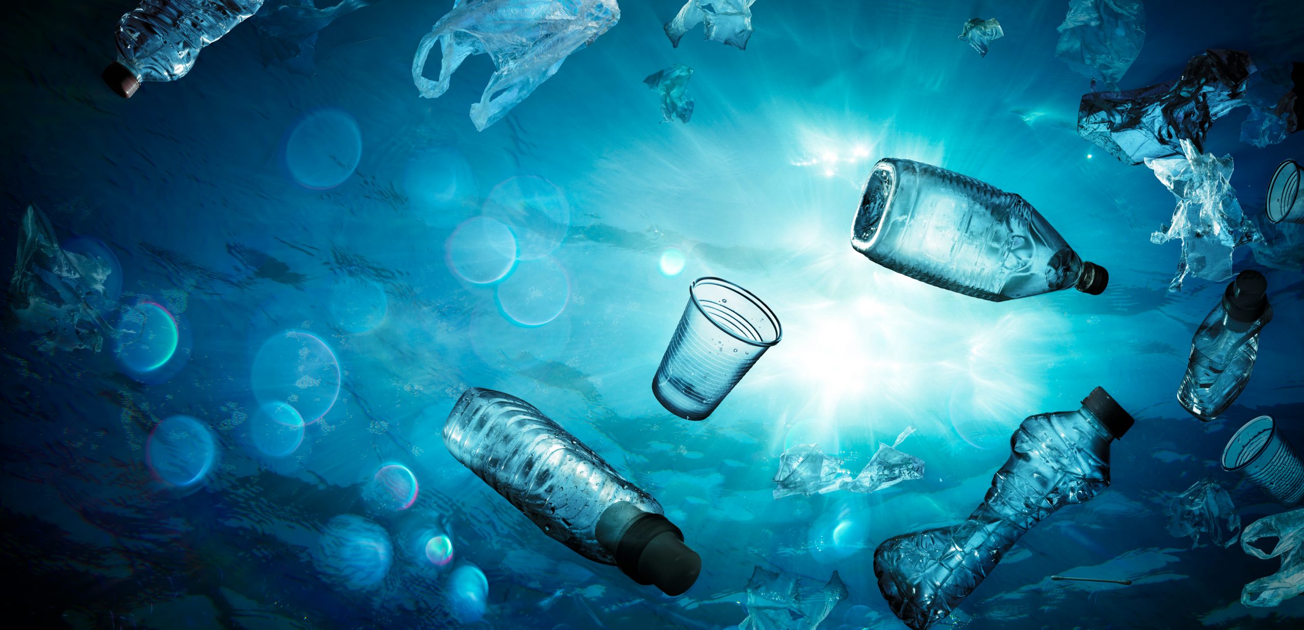 World Ocean Month Virtual Series: Over-Whaleming Waves of Plastic ...