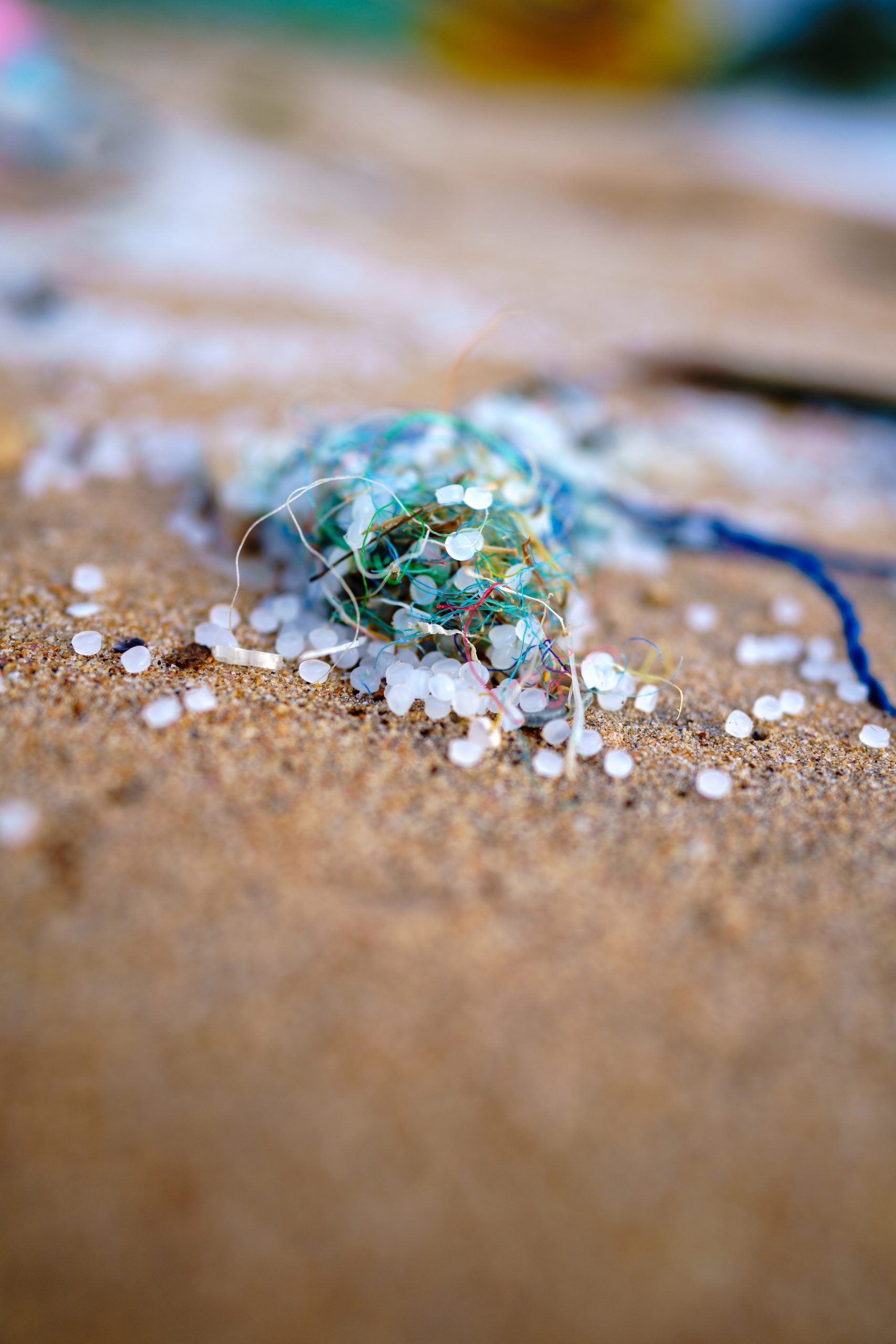 SEA SAVVY: Tiny Threats - Uncovering Microplastics - Ocean Wise